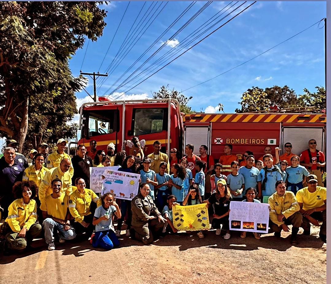 Municípios da Ride e DF articulam medidas para prevenção e combate a ...